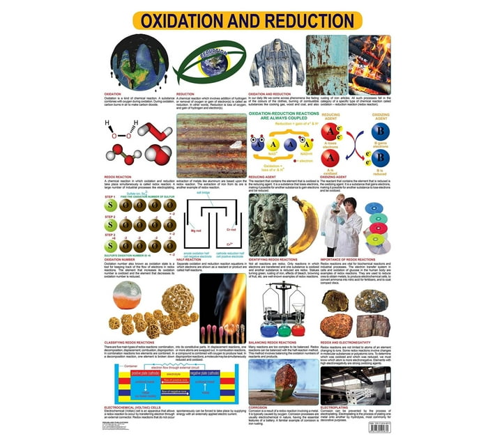 Someone’s in a Makro Oxidation & Reduction Wall Chart (Science Chart ...
