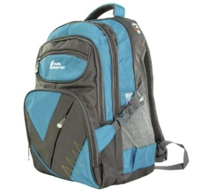 Camel Mountain School Back bag Grey/Turquiose 30 l Laptop Backpack ...