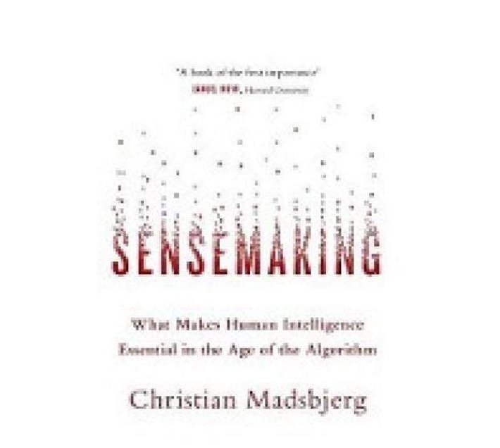 Someone’s in a Makro Sensemaking Mood