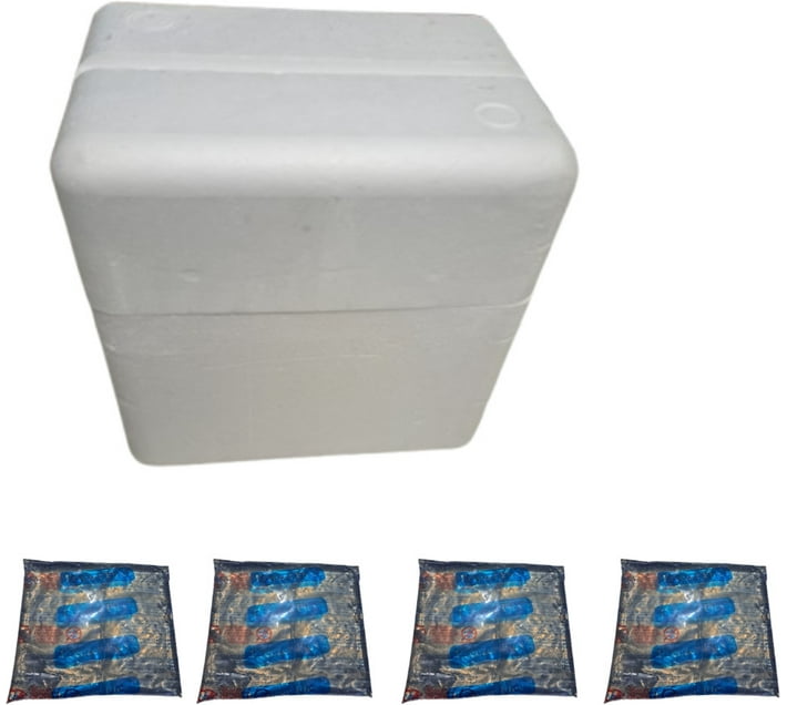 Buy SH Portable Cooler Box and Ice Packs Cooler box/ice packs ...