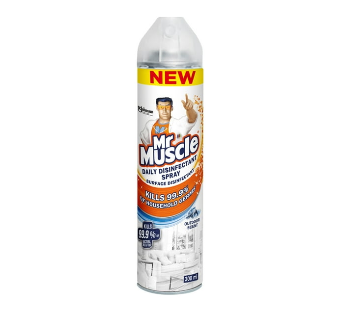 Mr Muscle 1 x 300ml Disinfectant Spray | Makro