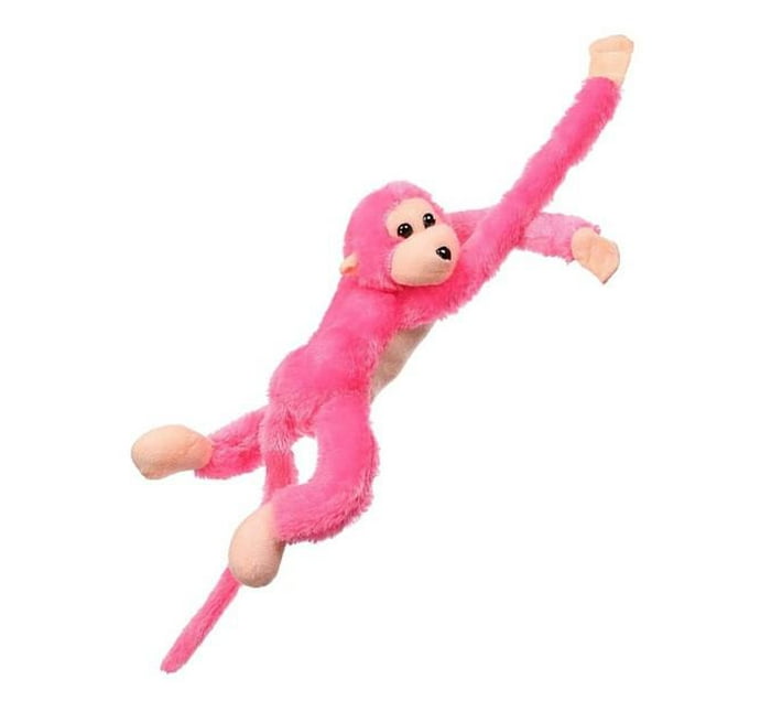 Someone’s in a Makro Long Arm Monkey - Pink Mood