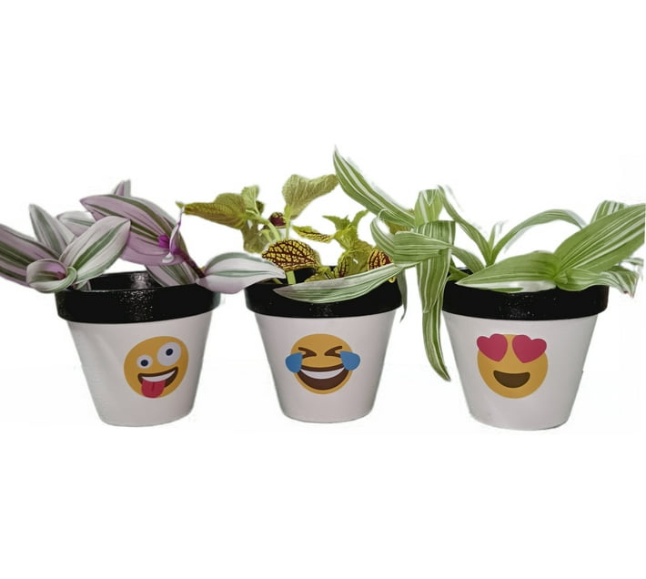 Pixels and Petals Pot Outdoor Plant Container Set (Pack of 1 ...