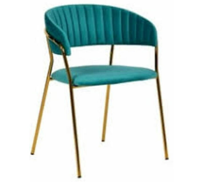Generic Metal Dining Chair (Set of 1, Finish Colour - Green) | Makro