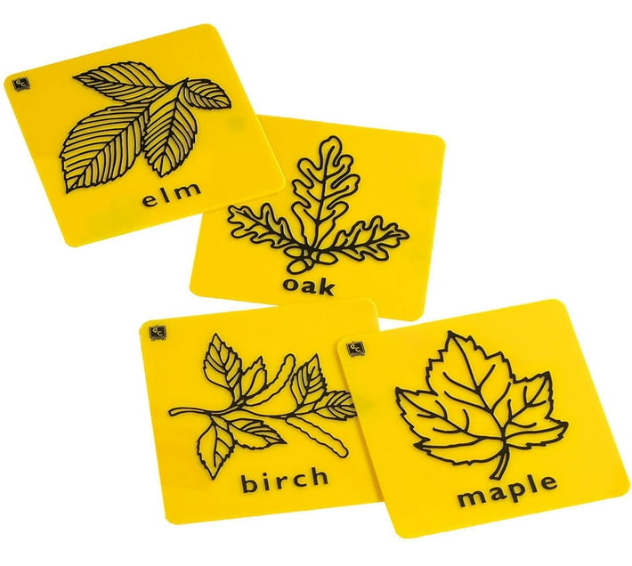 hartgoet Rubbing Plates - Leaves Craft Kits Art and Craft Kit | Makro