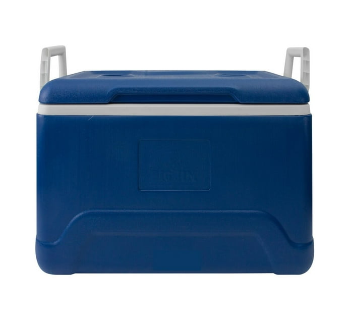 Buy Big Jim 50 l Cooler Box 50l in Bulk | Makro Business