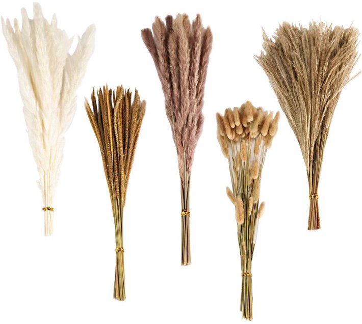 The Good Sport Garden Decor Multi Colour Natural Dried Bouquet Reed ...