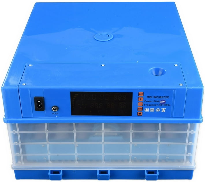 Delta Incubators Blue Roller 36 Egg Automatic Roller Incubator - Dual ...