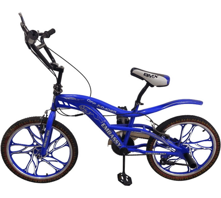 Embassy 20 Inch Freestyle Bicycle 20 inch (Single Speed, Multicolour ...