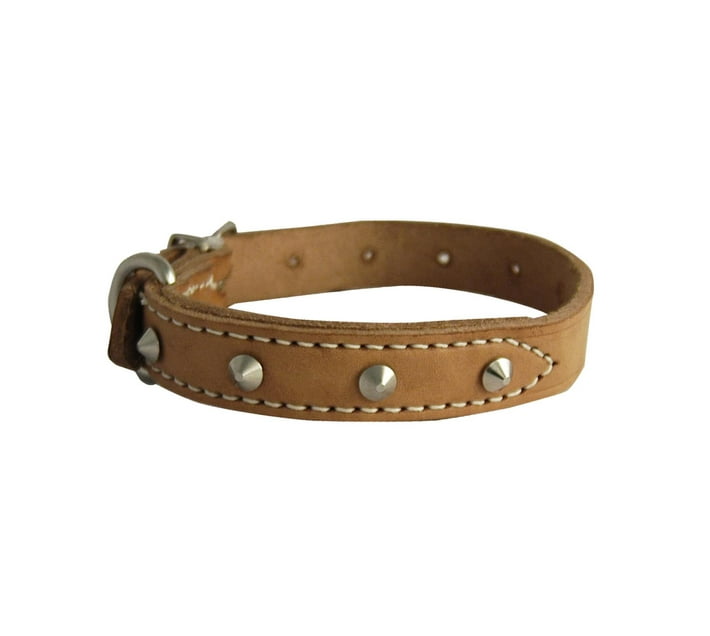 Someone’s in a Makro Dog Collar Plain - #4 - 19 X 460Mm - 5 Pack Mood