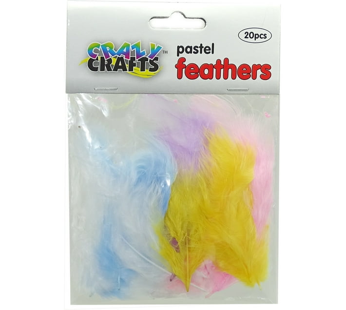 Crazy Crafts Pastel Feathers Craft Kits Art and Craft Kit (Multicolor ...