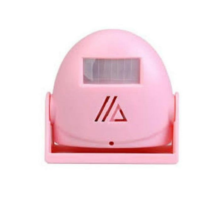 Someone’s in a Makro Wireless Infrared Motion Sensor Voice Prompter ...