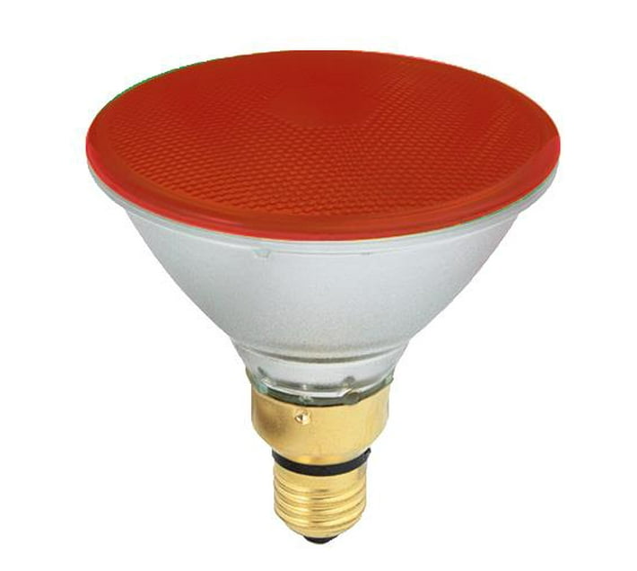 Someone’s in a Makro Par38 Red Led Bulb Mood