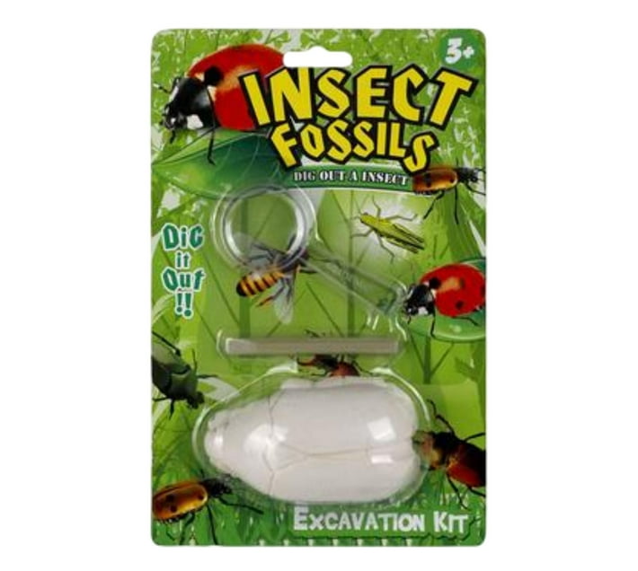 Someone’s in a Makro Edu Excavation Insect Fossil Kit Asstd Mood