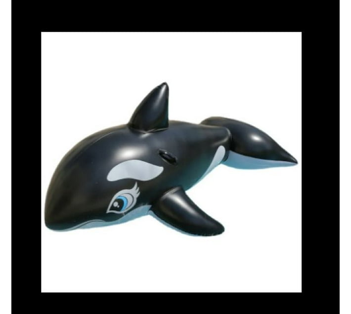 INV Inflatable Inflatable Toy Pump (Black) | Makro