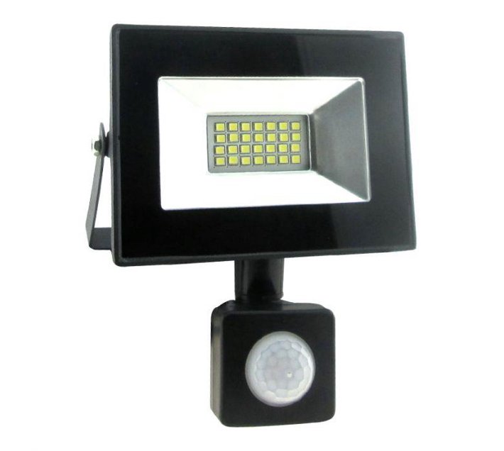 Someone’s in a Makro Pays Led Flood Light With Motion Sensor - 20W Mood