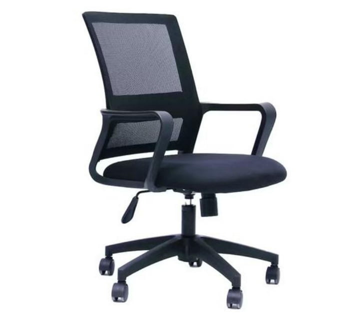 Someone’s in a Makro Ergonomic Mid-Back Mesh Computer Desk Chair Mood