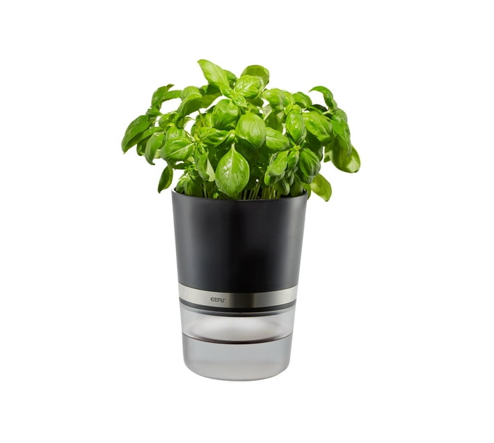 BOTANICO Herb Pot | Makro