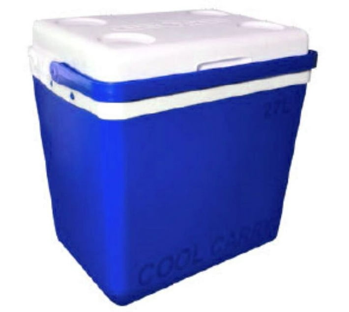 Cool Carry 27L Plastic Beverage Storage, Vegetable/Fruit Storage Cooler ...