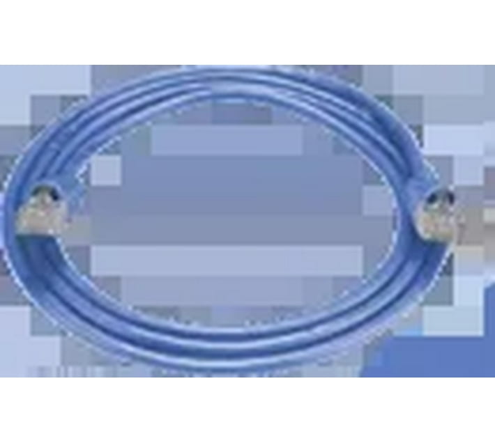 RCT RJ-45 To RJ-45 1 m CAT5E-1M-BL (Compatible with Computer, Blue, One ...