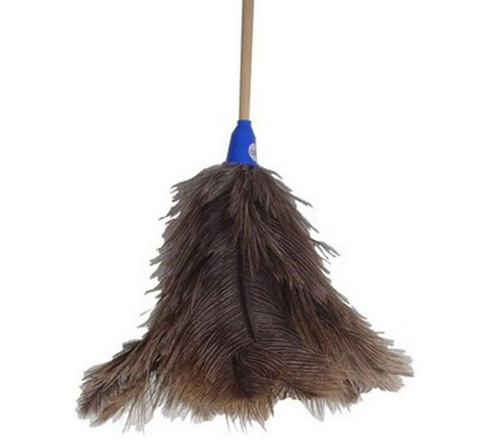 Buy Addis Feather Extendable Handle Dry Duster () in Bulk | Makro Business