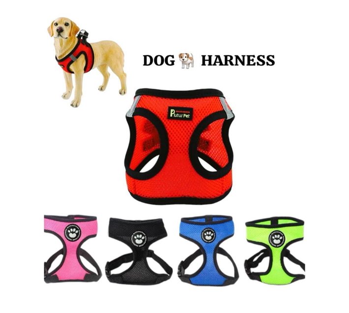 Someone’s in a Makro Dog Harness Mood