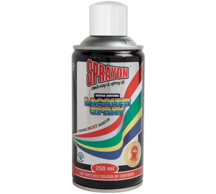 Sprayon Appliance White Gloss Flammable Spray Paints (250 ml, Pack of 1 ...