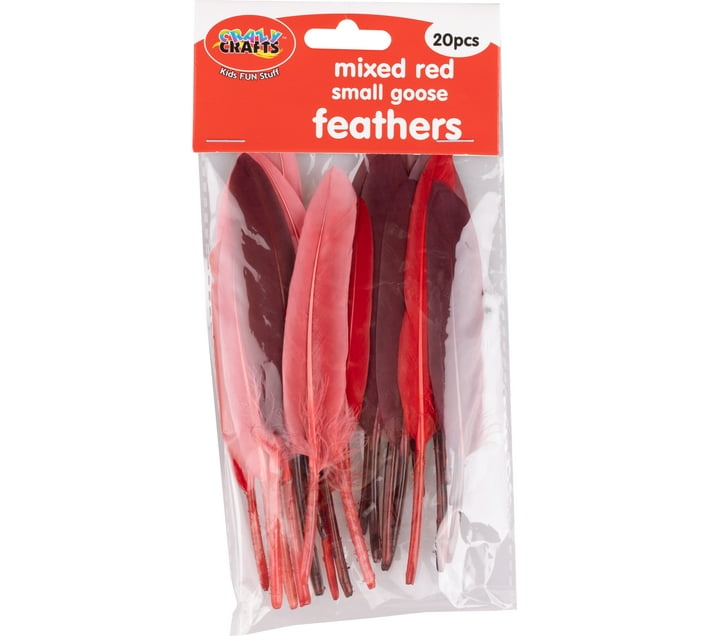 Crazy Crafts Small Mixed Goose Feathers Mixed Red Craft Kits Art and ...