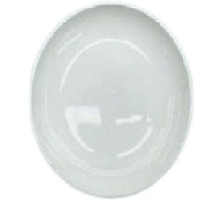 GENERIC 10" Ceramic Dinner Plate () | Makro