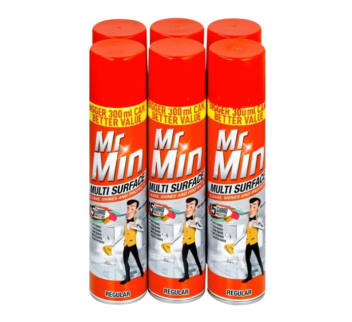 Buy Mr Min Multi-surface Polish Regular (6 x 300ml) in Bulk | Makro ...