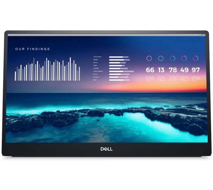 Dell 14 inch Full HD IPS Panel Home and Office Monitor (P1424H ...