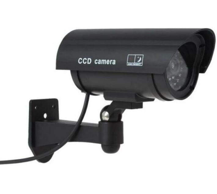 Generic 0 Indoor & Outdoor Security Camera with Analog Connectivity ...