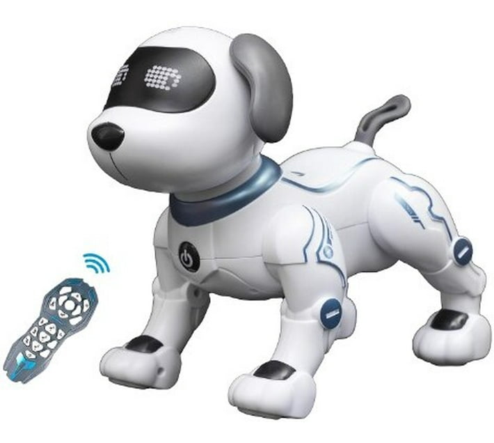 generic Robot Dog Toys for Kids, Remote Control Dog (Silver) | Makro