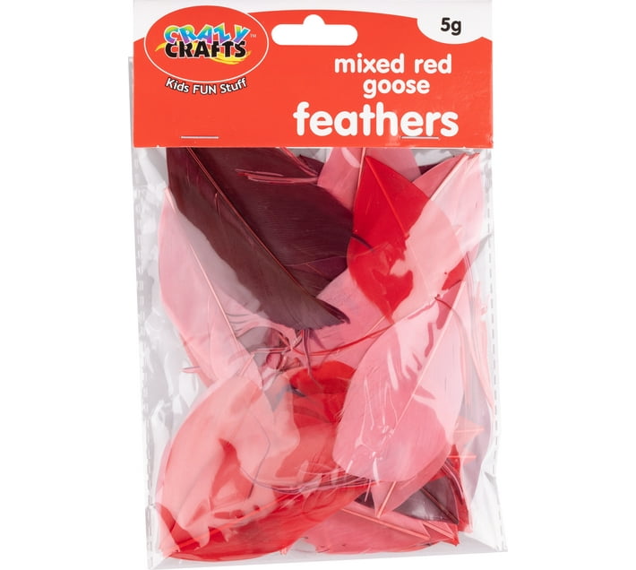 Crazy Crafts Mixed Goose Feathers Mixed Red Craft Kits Art and Craft ...