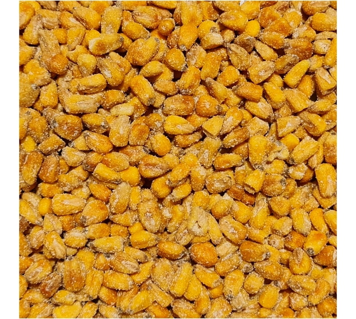 CoolGoodies Roasted Corn - Salt & Vinegar (500 g) | Makro
