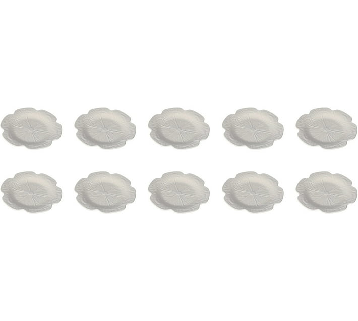 Buy EverythingMART Pack of 10 Ceramic CD10: 10x White Cabage leaf ...