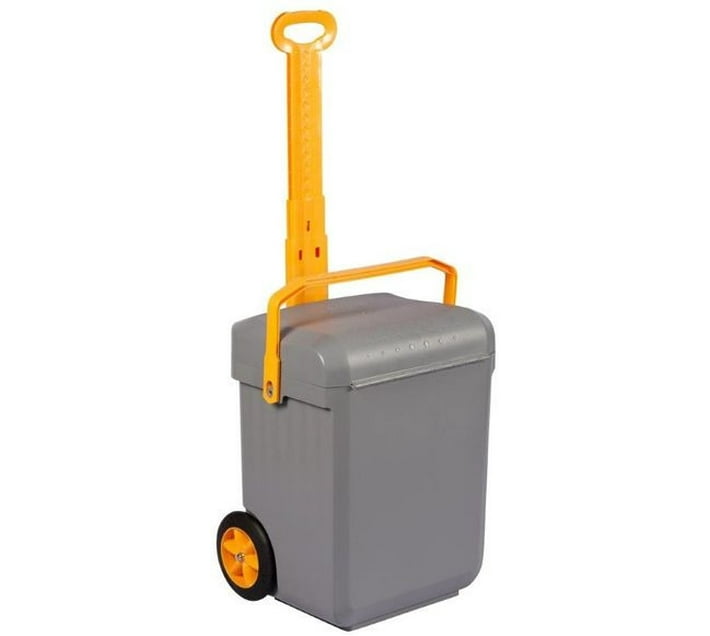 Weelie 4 Compartments School Trolley Waterproof Trolley (Grey, Yellow ...