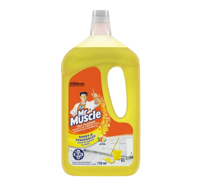 Buy Mr Muscle Citrus Orchard Tile Cleaner 750ml in Bulk | Makro Business