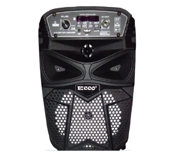 Someone’s in a Makro Ecco TWS Bluetooth LED Karaoke Speaker - EC2338 Mood