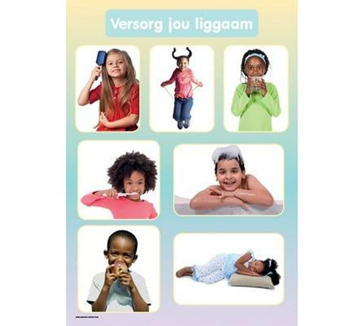 Versorg jou liggaam: Graad R (Wallchart) | Makro