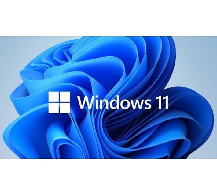 Buy Microsoft Windows 11 Professional (2 Users) - Bundle Deal!! (USB ...