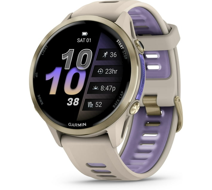Buy Garmin Forerunner 970 Smartwatch (French Grey/Translucent Indigo ...