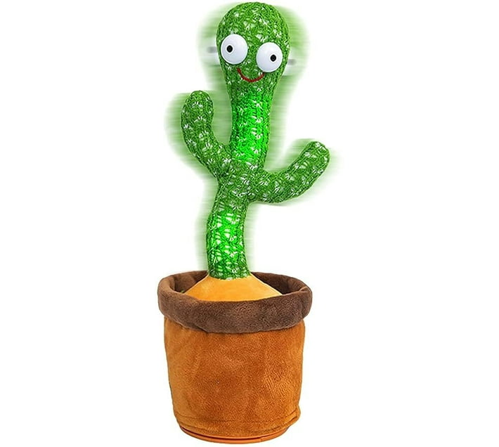 Generic Cactus - Small, Medium (Green, Brown) | Makro