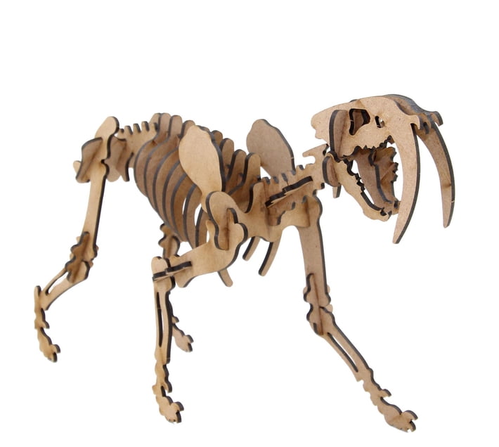 Someone’s in a Makro 3D Wooden Model Saber Tooth Junior Mood