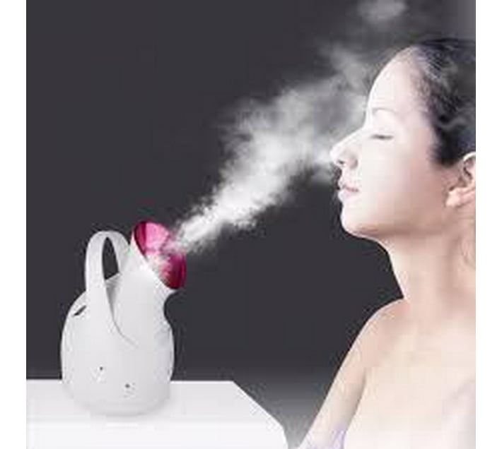 Perfect Dealz GV648MK Steamer | Makro