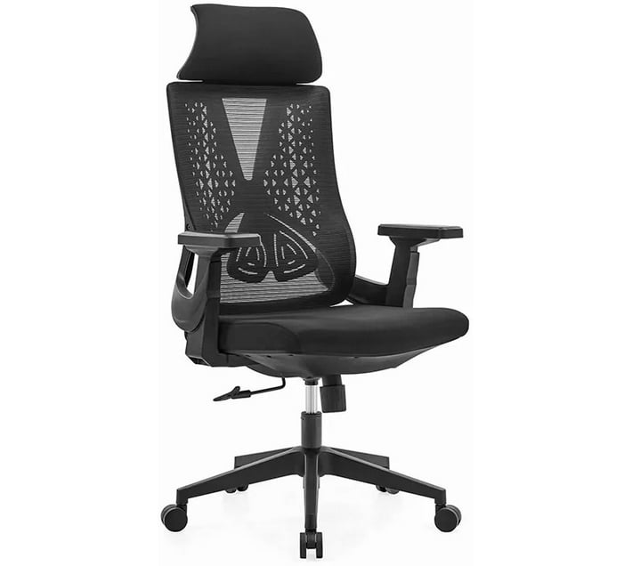 Eay Eay Thing High Back Mesh Office Chair ProPosture Chair with ...