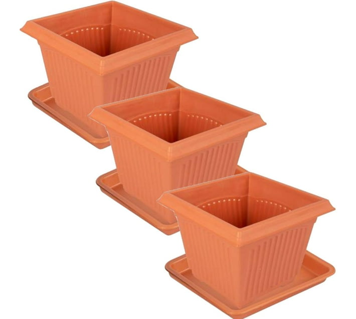 Someone’s in a Makro Garden Square Pot Plant With Tray Set of 3 (23cm) Mood