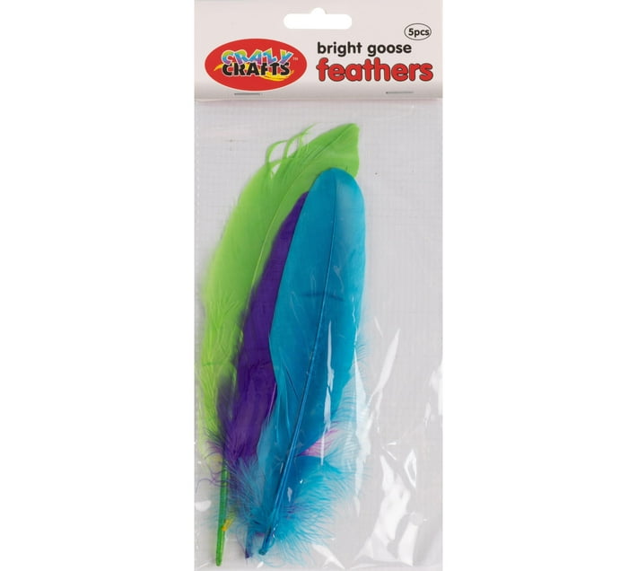 Someone’s in a Makro Goose Feathers - Bright Mood