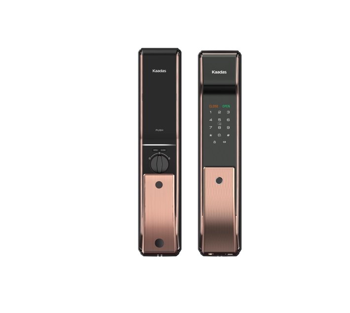 Someone’s in a Makro Smart Lock ( K9-5W ) Push-Pull Lock Mood