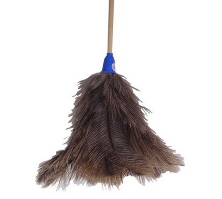 Someone’s in a Makro Addis - Feather Duster Extendable Handle - 2 Pack Mood